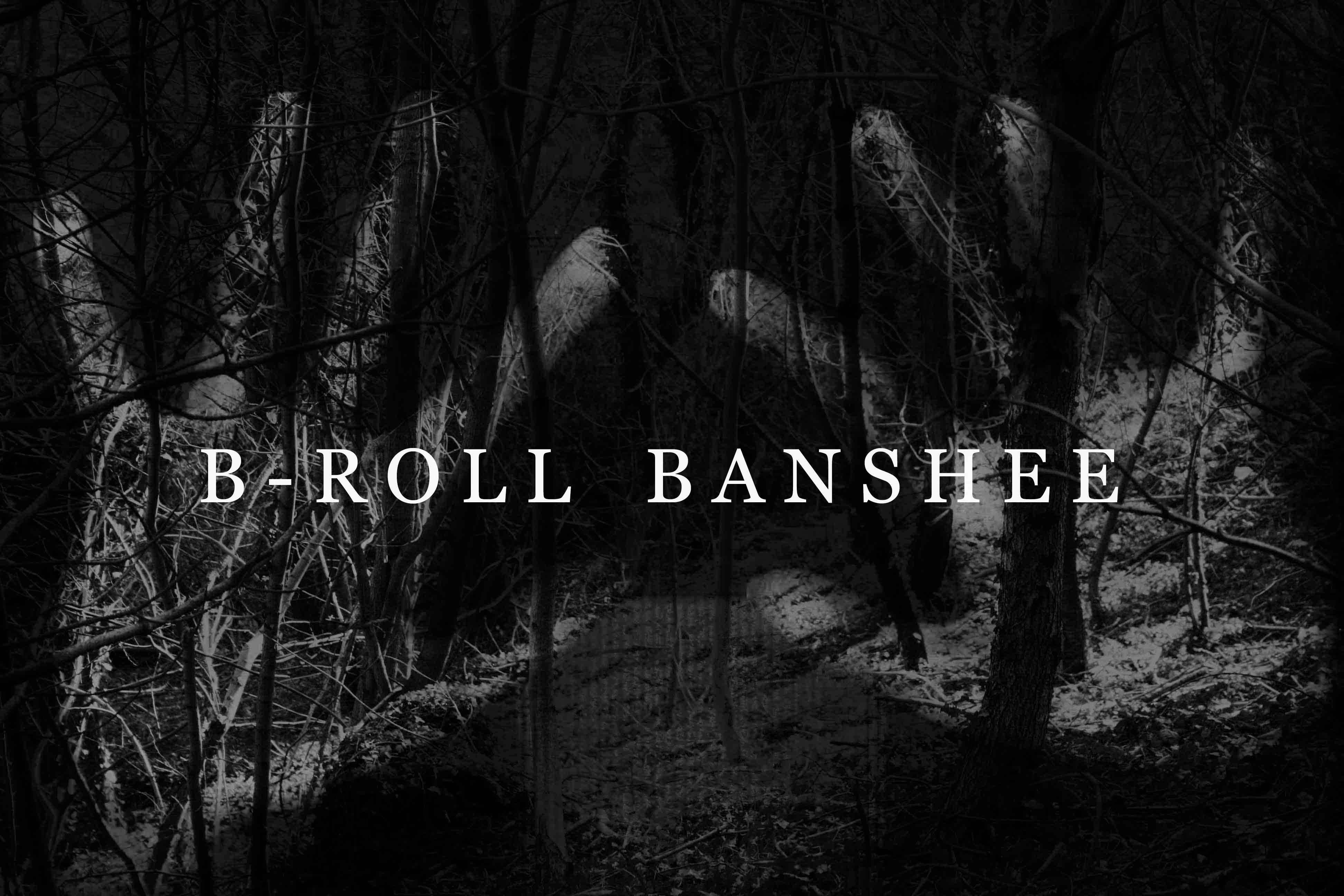B-ROLL BANSHEE